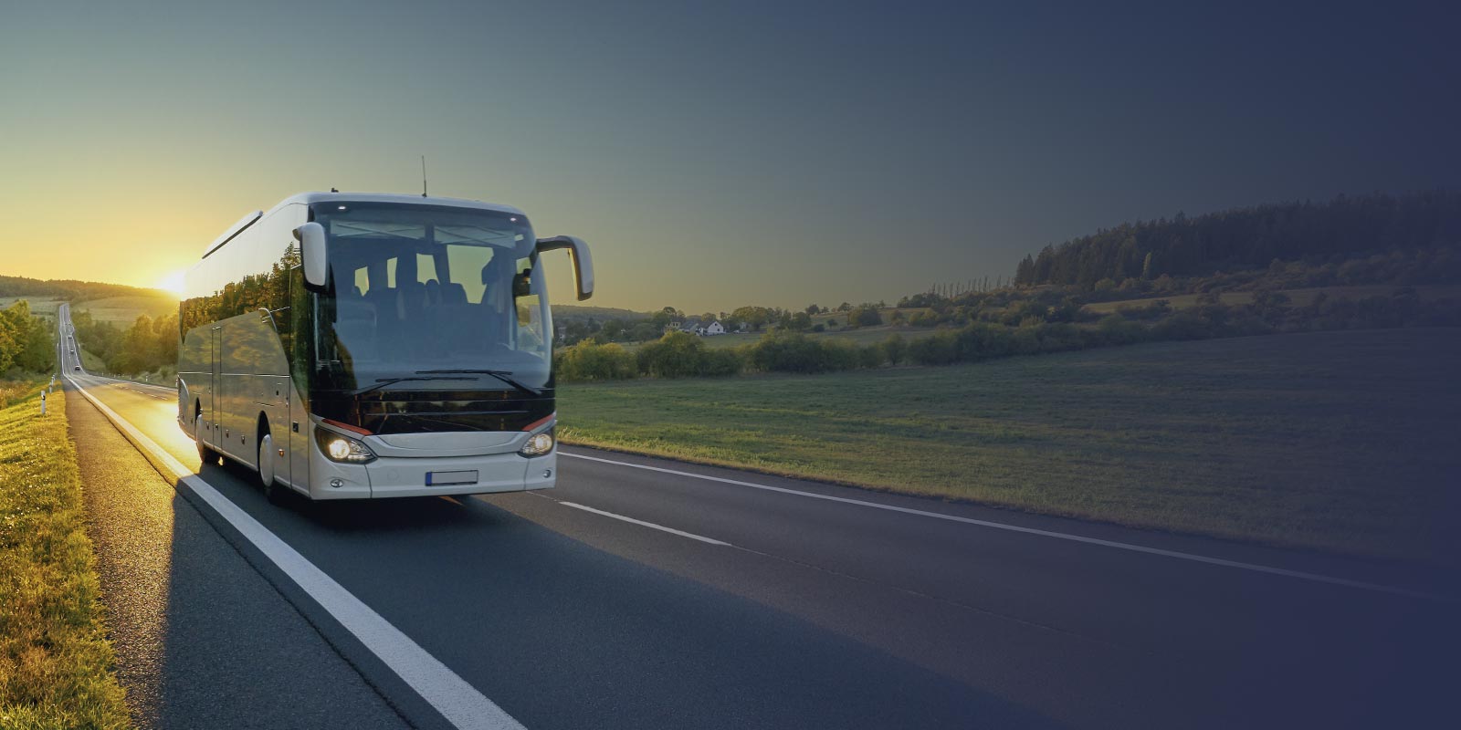 Trans Hans – przewozy osób i paczek